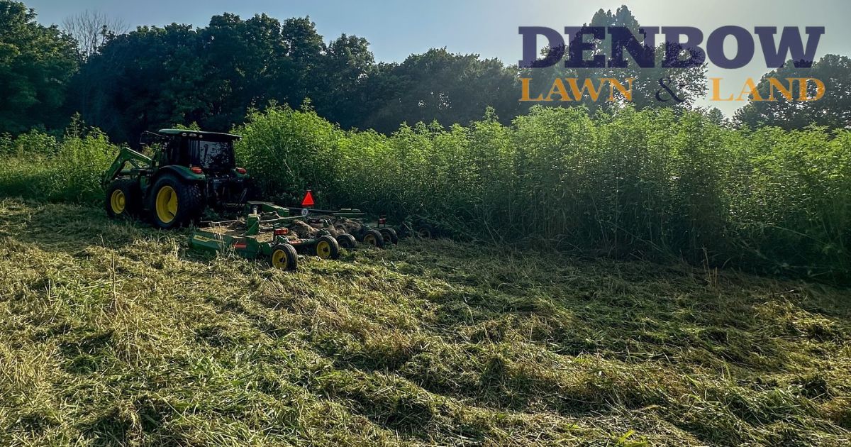 Property Maintenance Services in Springfield, MO | Brush Hogging, Land Clearing, Lawn Mowing ...